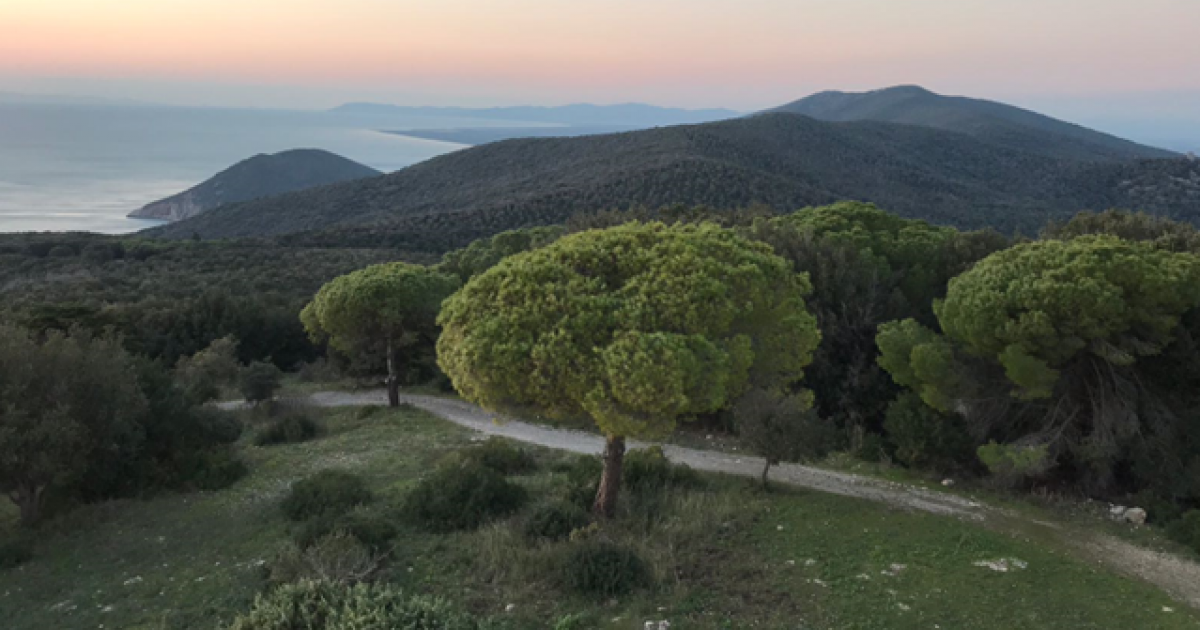 Il cuneo salino e la salvaguardia del nostro territorio | Arklabs ...